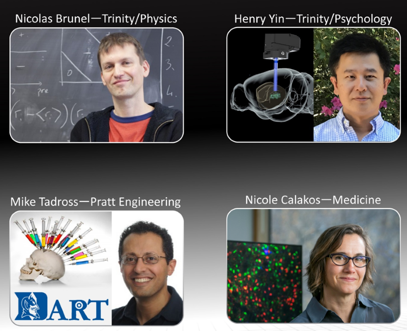 Calakos Lab | Duke Neurobiology