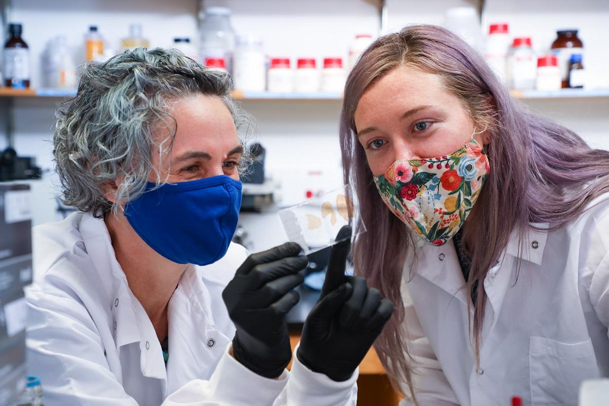 Home | Duke Department of Neurobiology