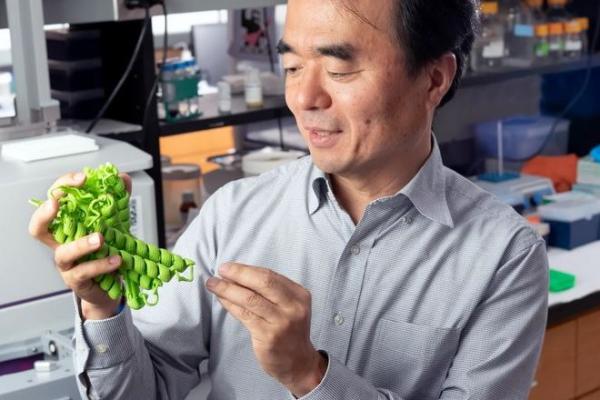 Home | Duke Neurobiology