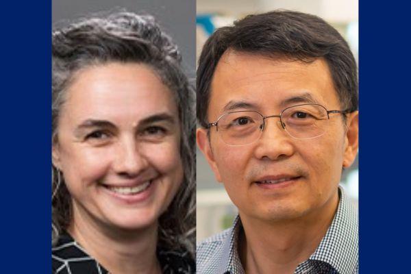 Disney Awarded SPARK Grant, Ji and Reker Awarded LAUNCH Grant | Duke ...