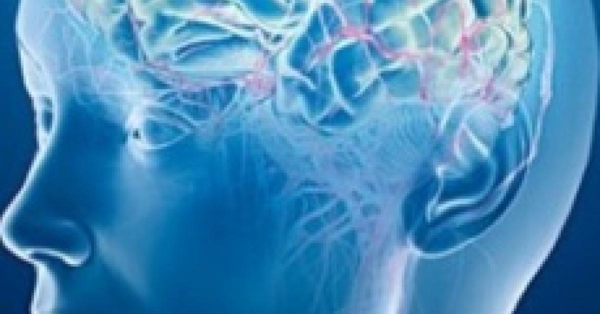 Duke study suggests new model for how humans learn | Duke Neurobiology