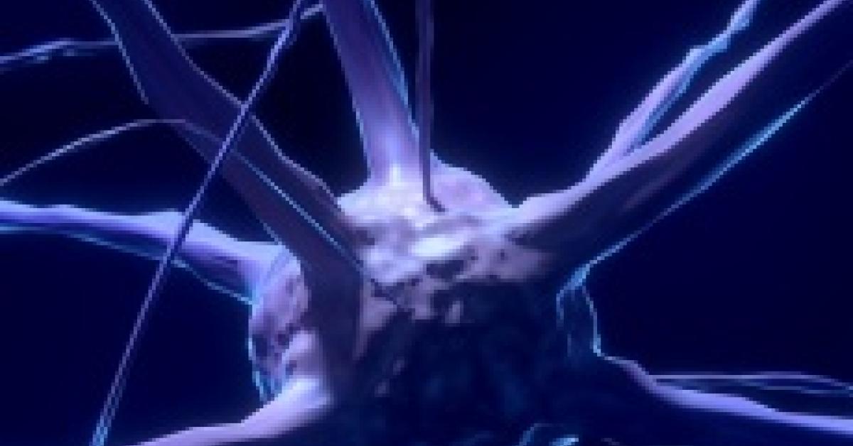 Research Roundup: Spring 2019 | Duke Neurobiology