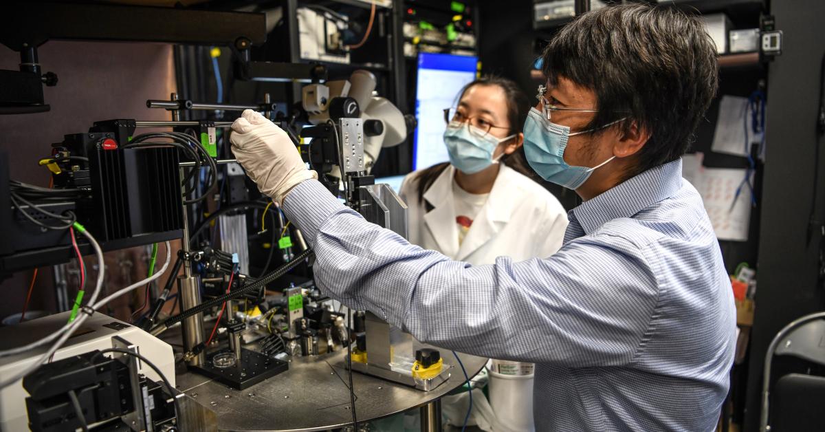 Nuo Li Wins Prestigious NIH Pioneer Award | Duke Neurobiology